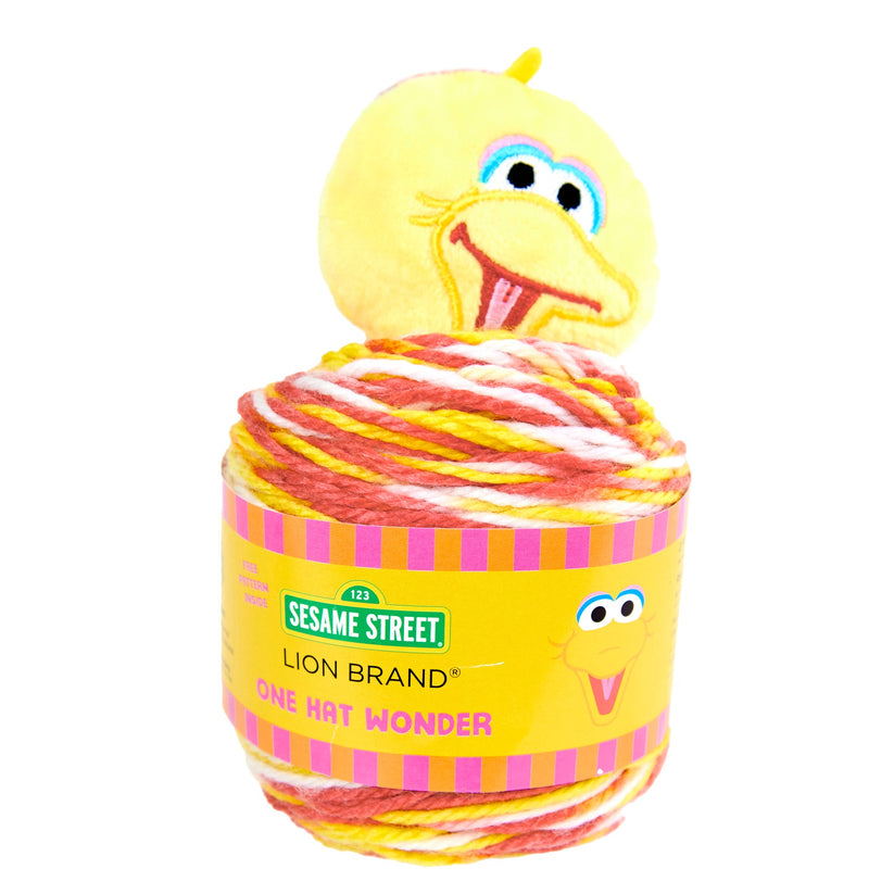 Lion Brand Sesame Street One Hat Wonder Crochet & Knitting Yarn, 70g P ...